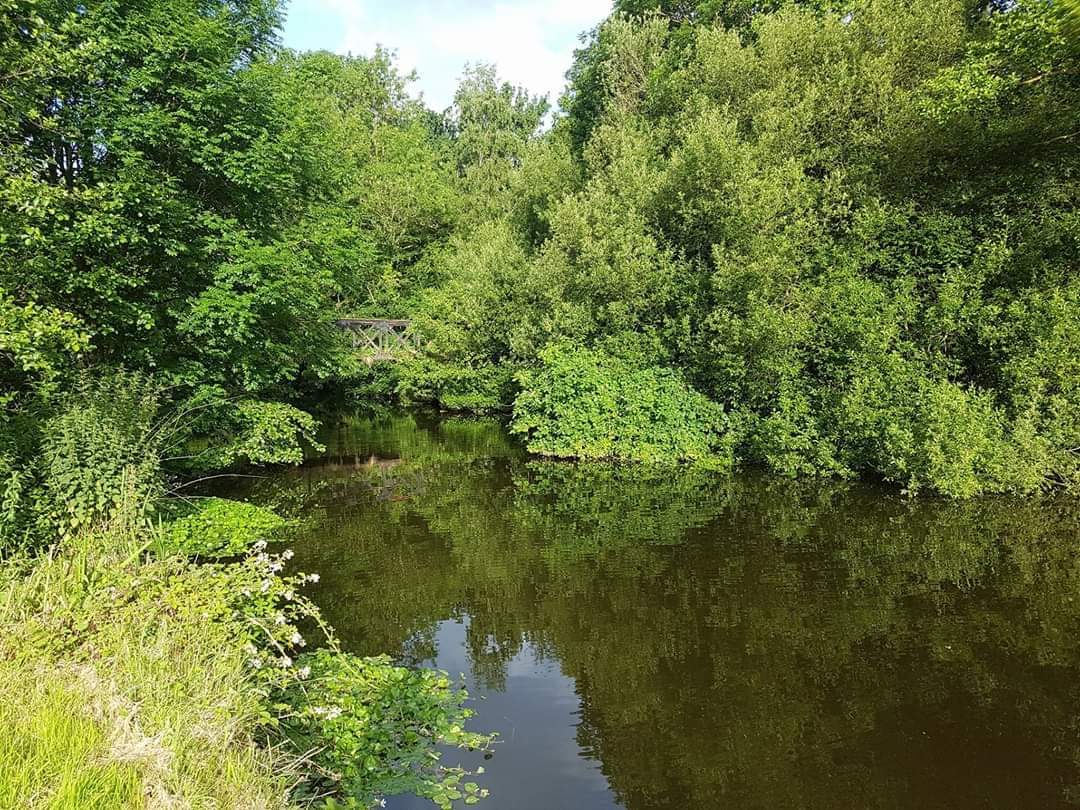 Petty Pool - Northwich Anglers Association